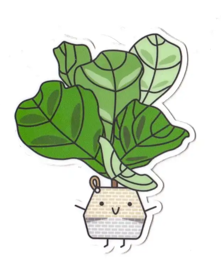 Fiddle-Leaf Fig Die Cut Sticker – heyhappypuff